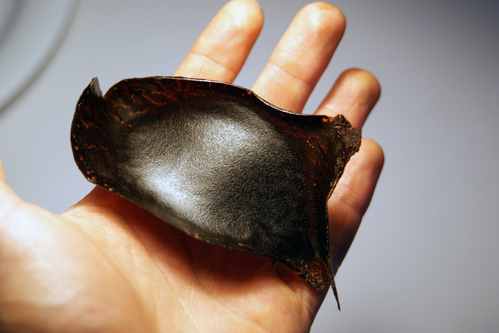 Was sind eigentlich Biopolymere? – Kaffeeform